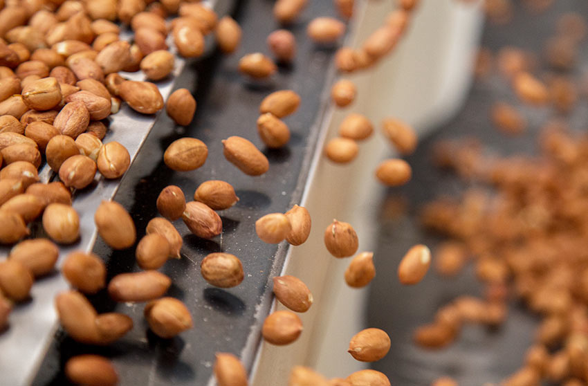 OEM Process - Peanut and Bean Food OEM - Guan Yih Foods